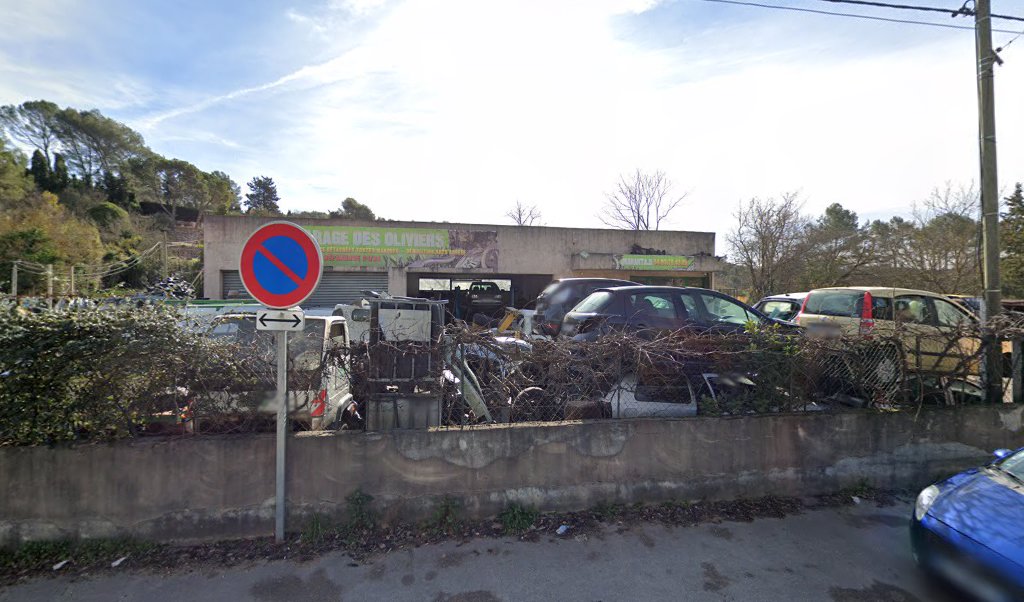 Casse auto AUTO CASSE GARAGE (ANCIENNEMENTGARAGE DES OLIVIERS DANIEL ...